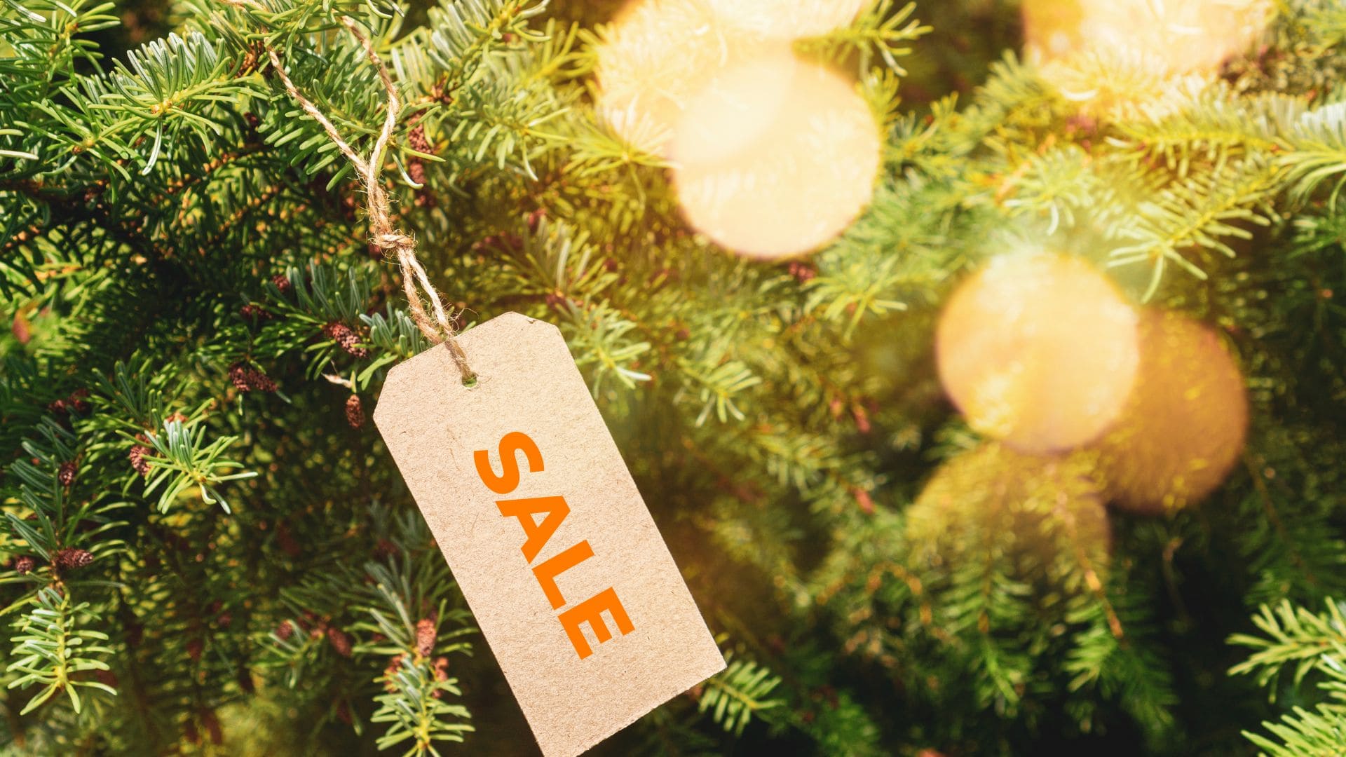 Seasonal Pricing: Boosting Sales with Timely Adjustments